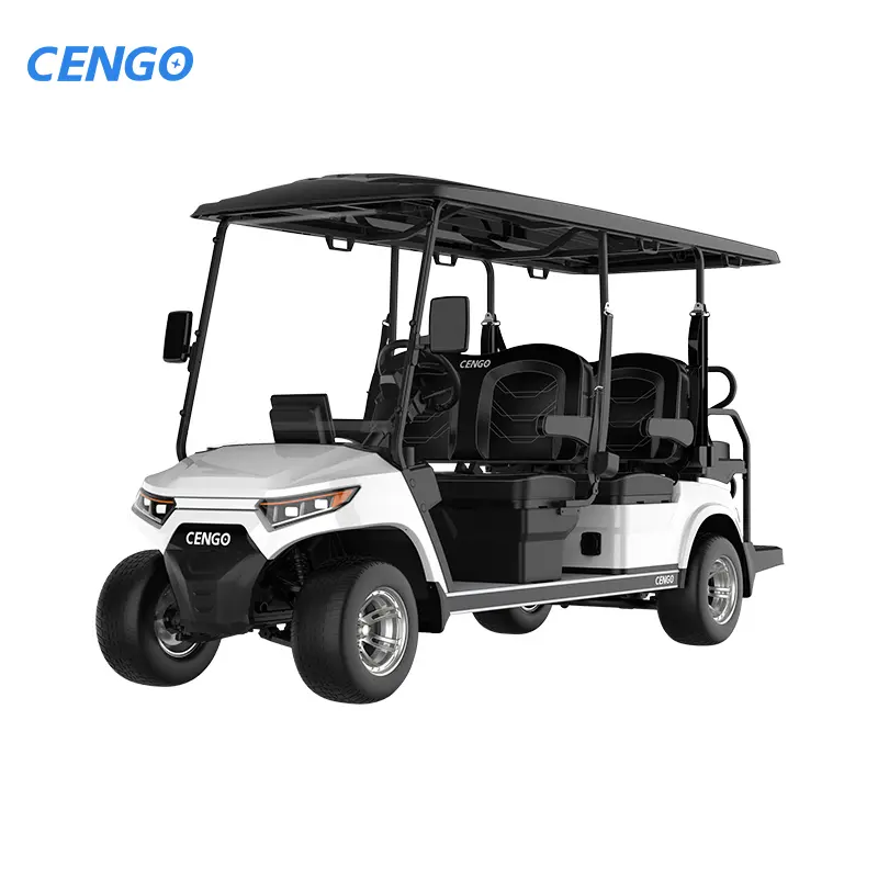 Top 8 Chinese Golf Cart Brands in 2025 – Listingbizweb
